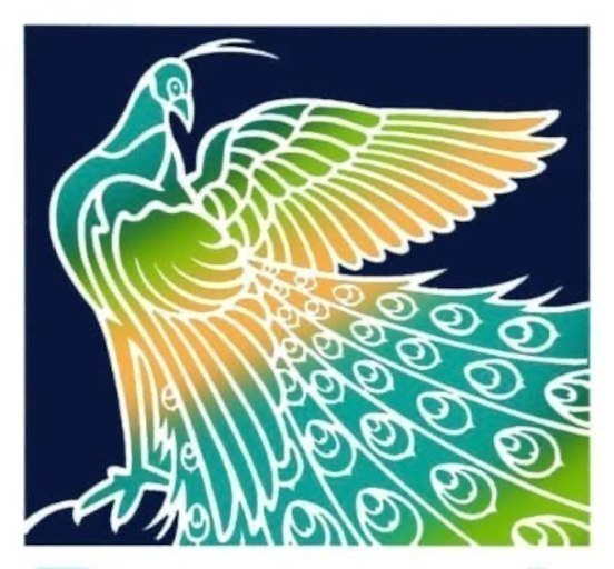 General Contractor in Ventura, Santa Barbara & Los Angeles
